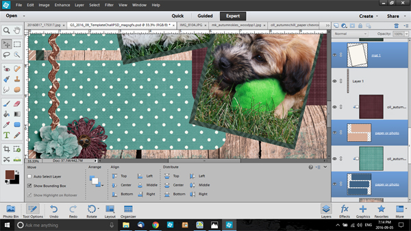 Tutorial Tuesday: Use a Basic Template (Photoshop Elements)