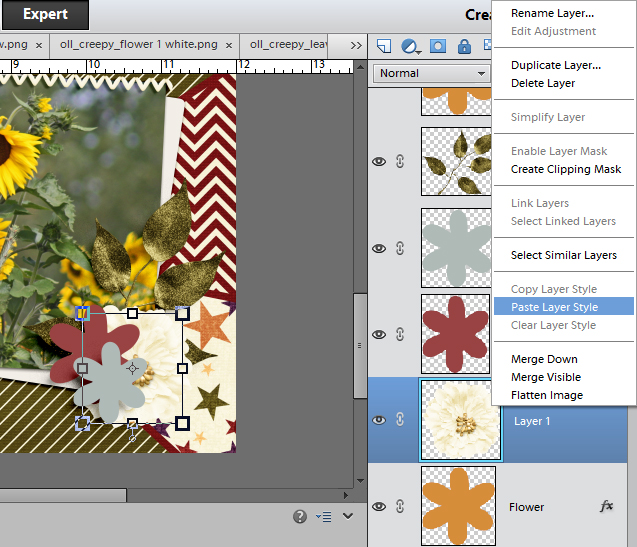 Tutorial Tuesday (Photoshop Elements)