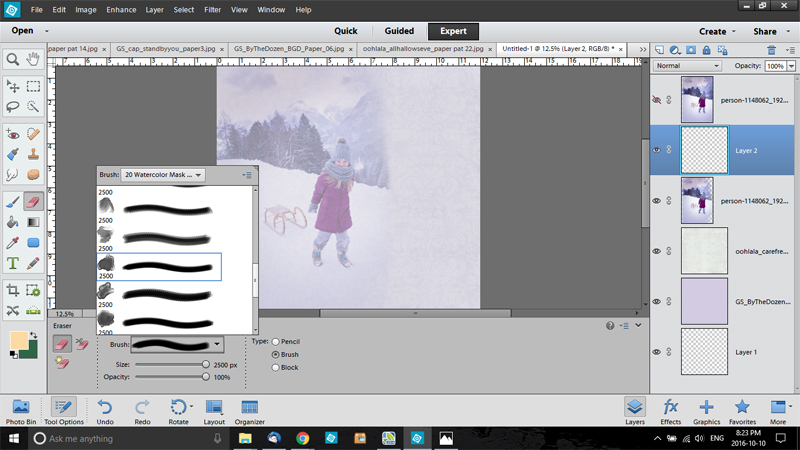Tutorial Tuesday (Photoshop Elements)