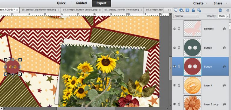 Tutorial Tuesday (Photoshop Elements)