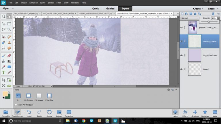 Tutorial Tuesday (Photoshop Elements)