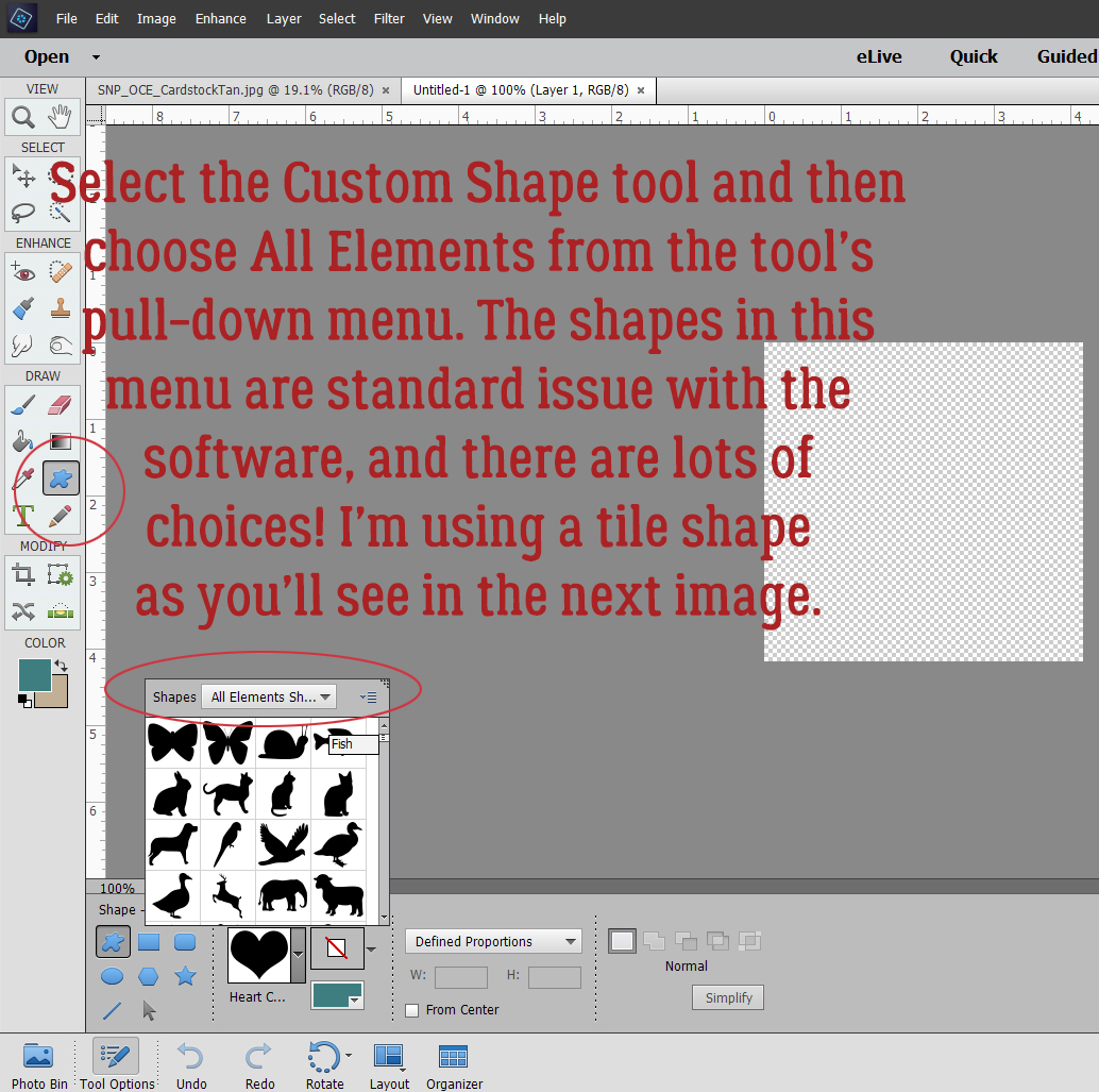 Tutorial Tuesday (Photoshop Elements)