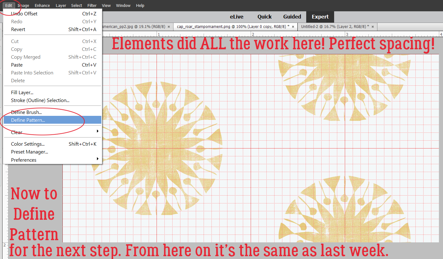 Tutorial Tuesday (Photoshop Elements)