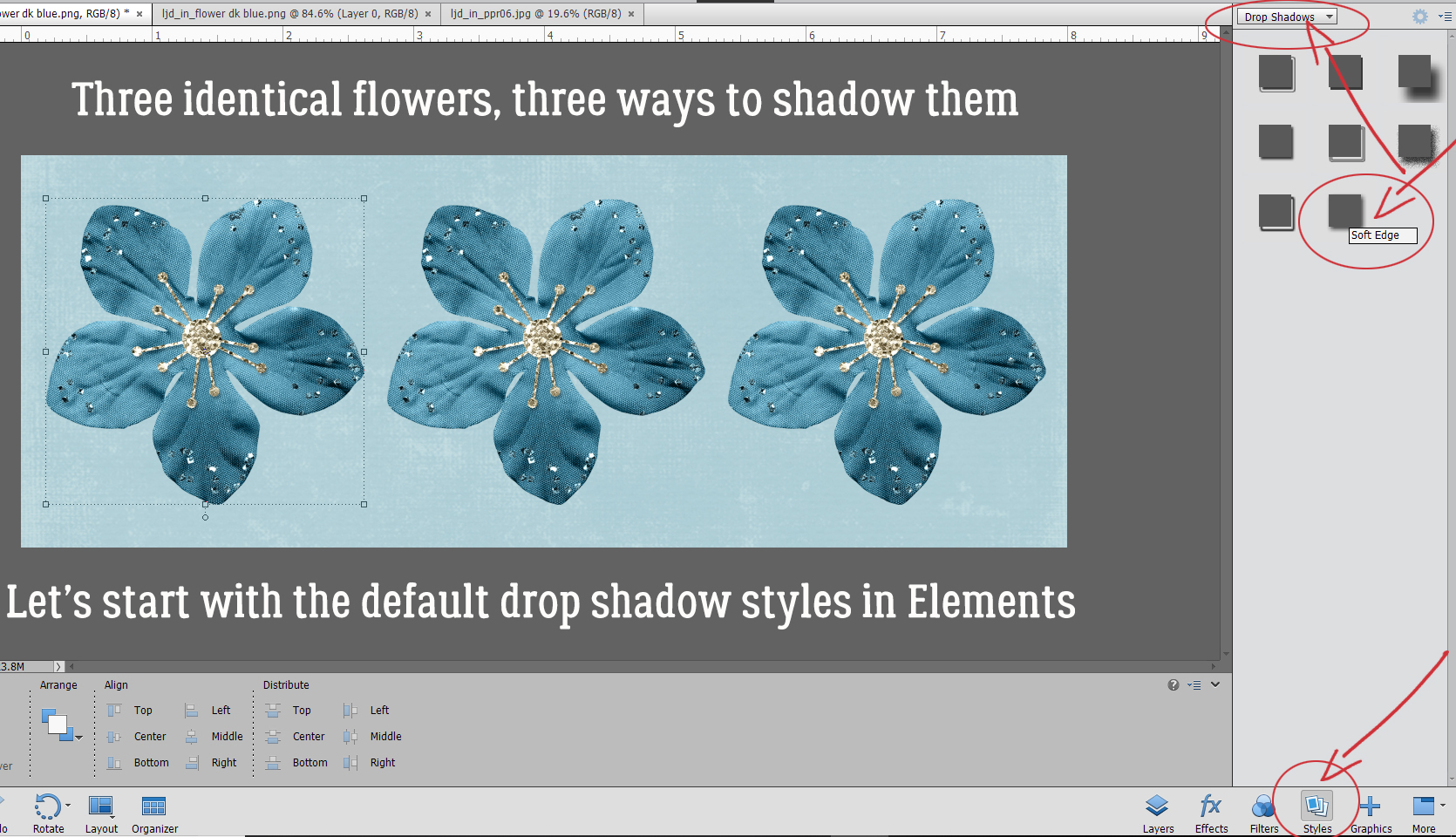 Tutorial Tuesday (Photoshop Elements)