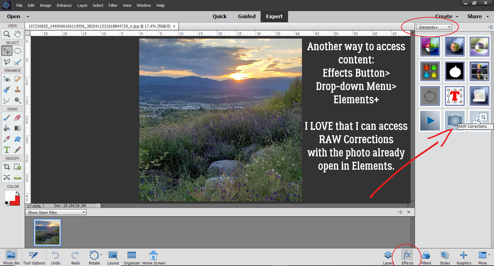 Tutorial Tuesday (Photoshop Elements+)