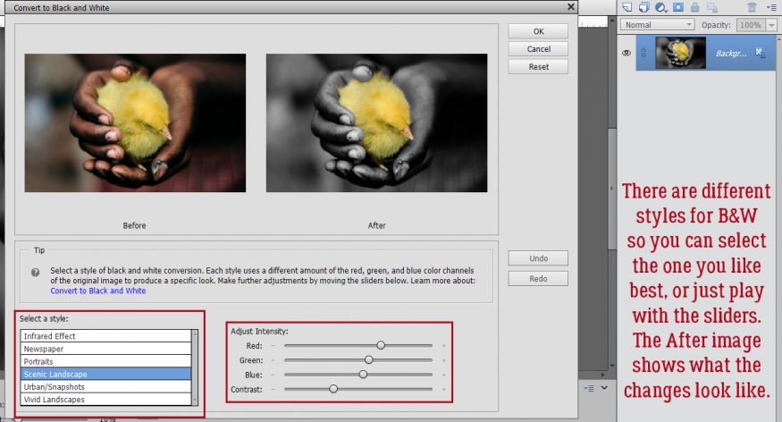 Tutorial Tuesday (Photoshop Elements)