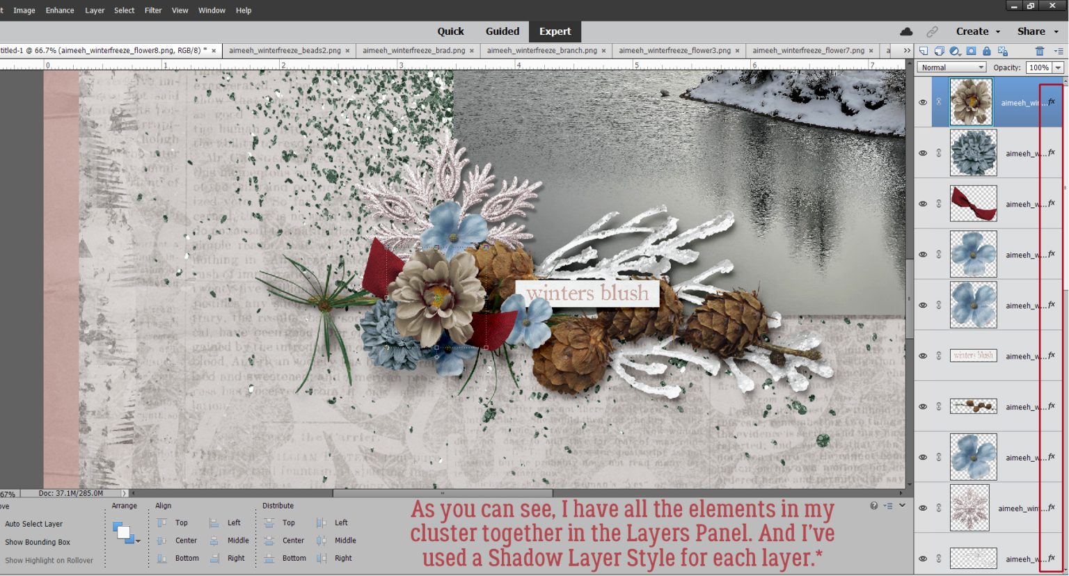 Tutorial Tuesday (Photoshop Elements)