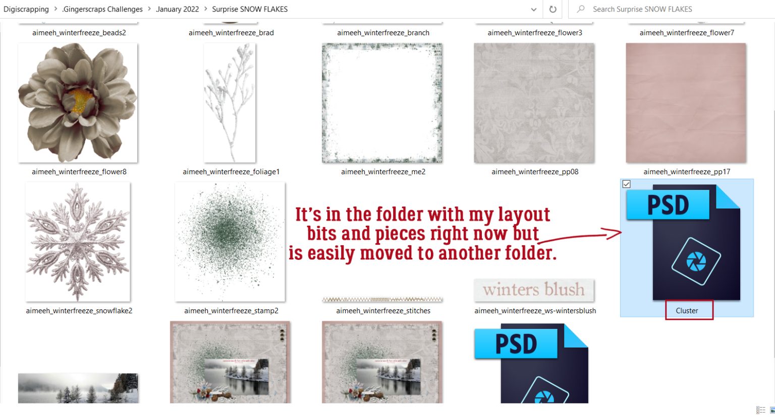 Tutorial Tuesday (Photoshop Elements)