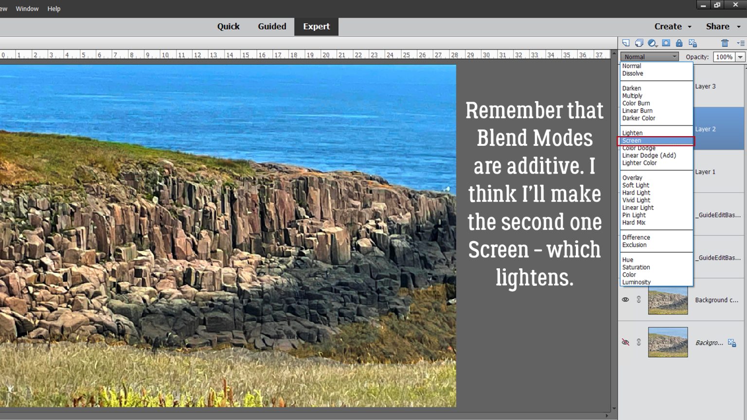 Tutorial Tuesday (Photoshop Elements)