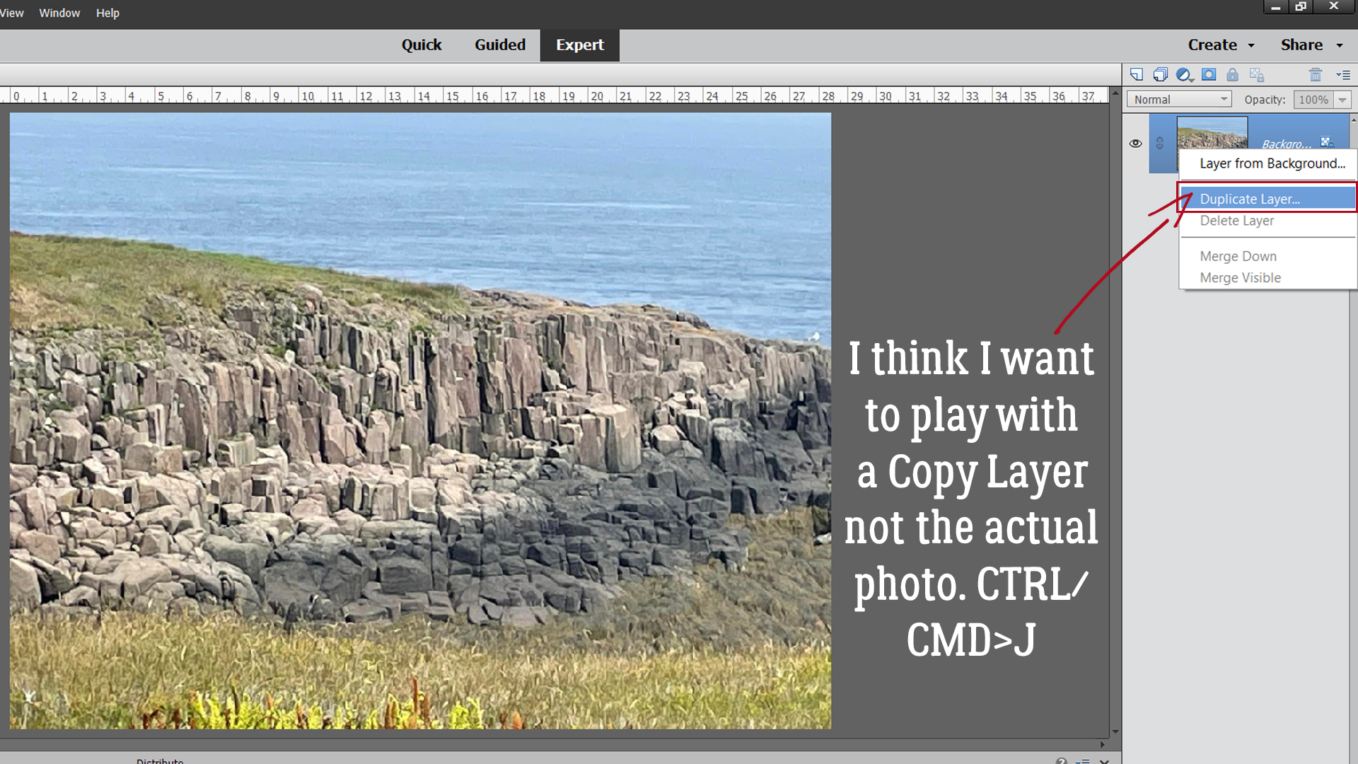 Tutorial Tuesday (Photoshop Elements)