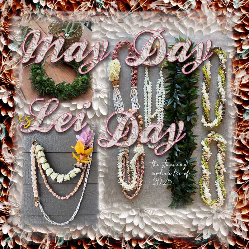 GingerScraps — The official GingerScraps blog!!